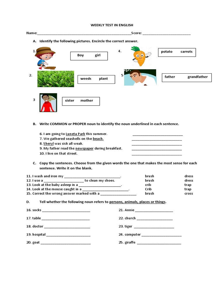 English Weekly Test | PDF | Languages | Language Arts & Discipline