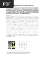 Anomalías Cromosómicas Estructurales | PDF
