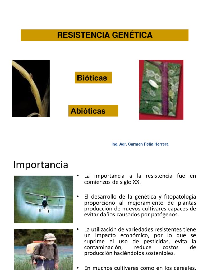 Resistencia Genética en Plantas Agrícolas | PDF | Virus | Gene