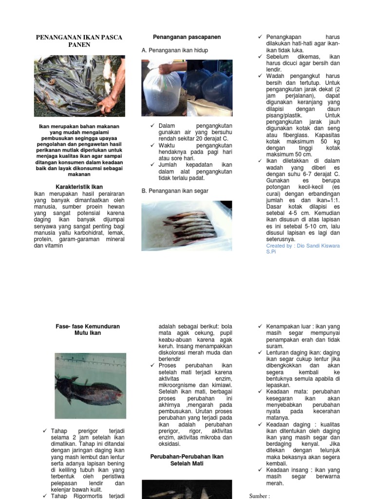 Leaflet Penanganan Ikan Pasca Panen | PDF