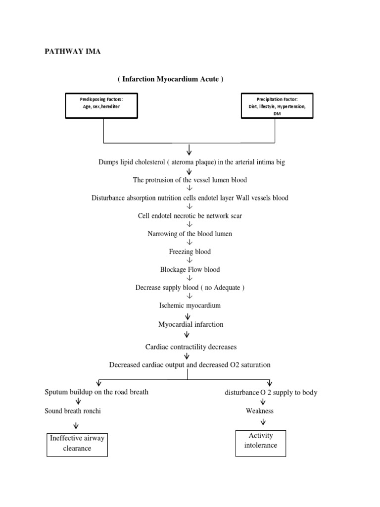 Pathway IMA: Myocardial Infarction | PDF