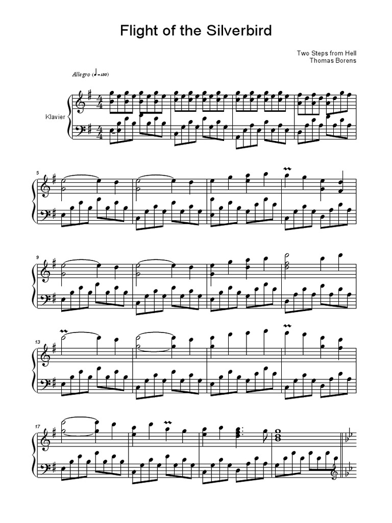 Flight of The Silverbird