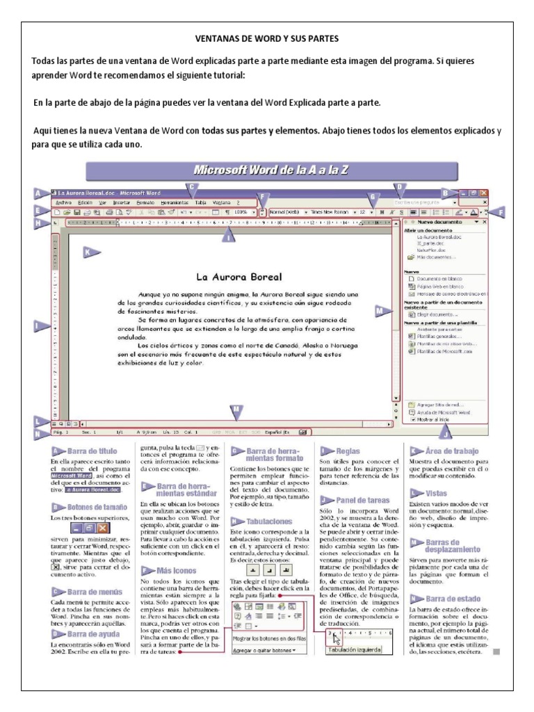 Ventanas de Word y Sus Partes | Point and Click | Ventana (informática)