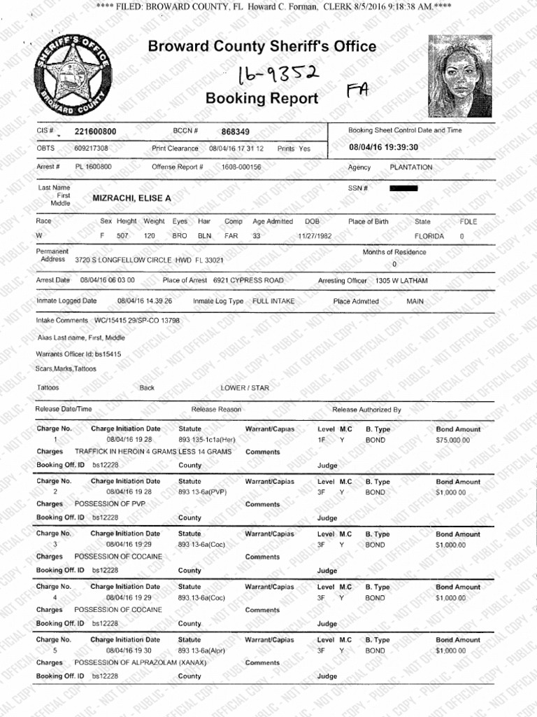 Booking sheet from Elise Mizrachi arrest in Broward County | Violence ...