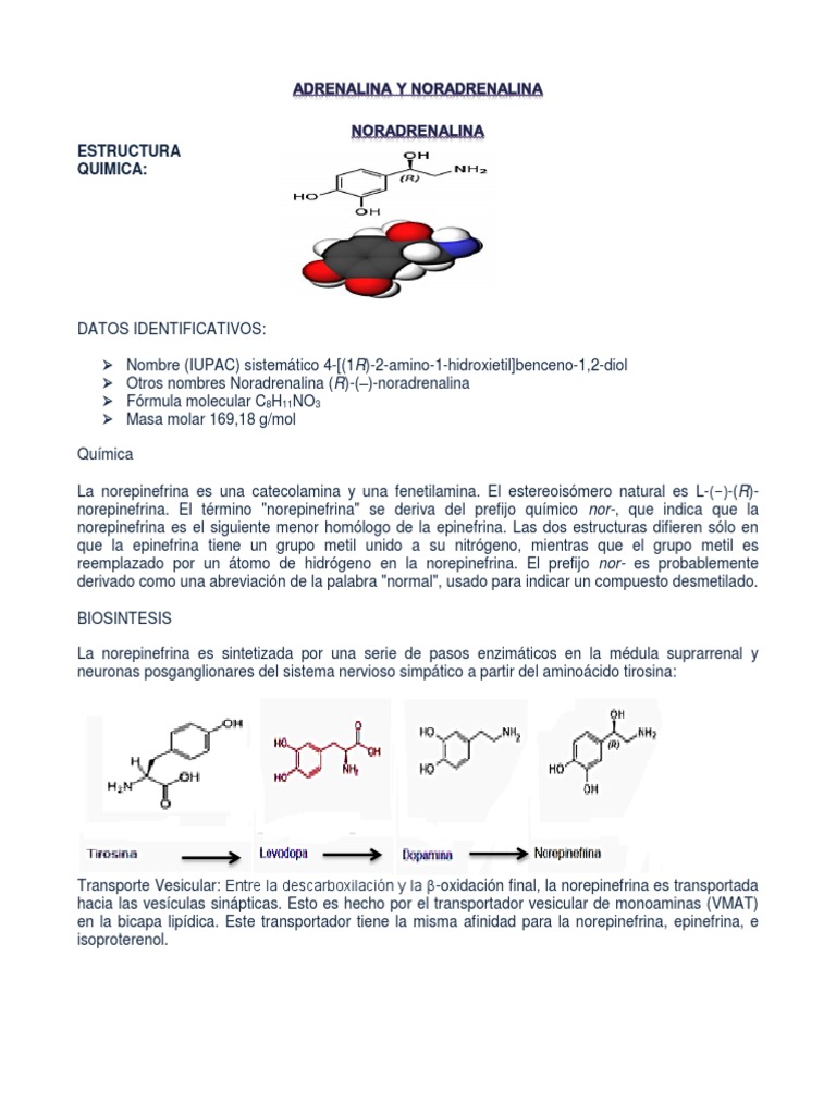Norepinefrina: Química y Funciones | PDF | Norepinefrina | Neurociencia