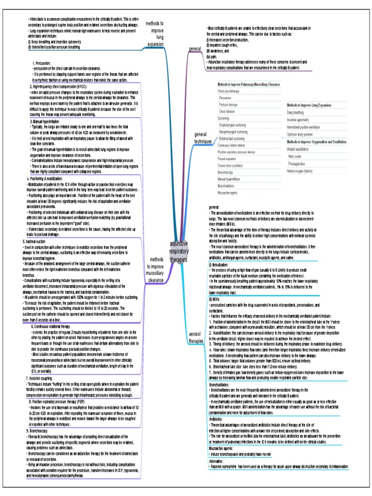 Adjunctive Respiratory Therapies Overview | PDF | Respiratory System ...