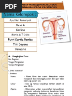 PPK Ca Cervix | PDF