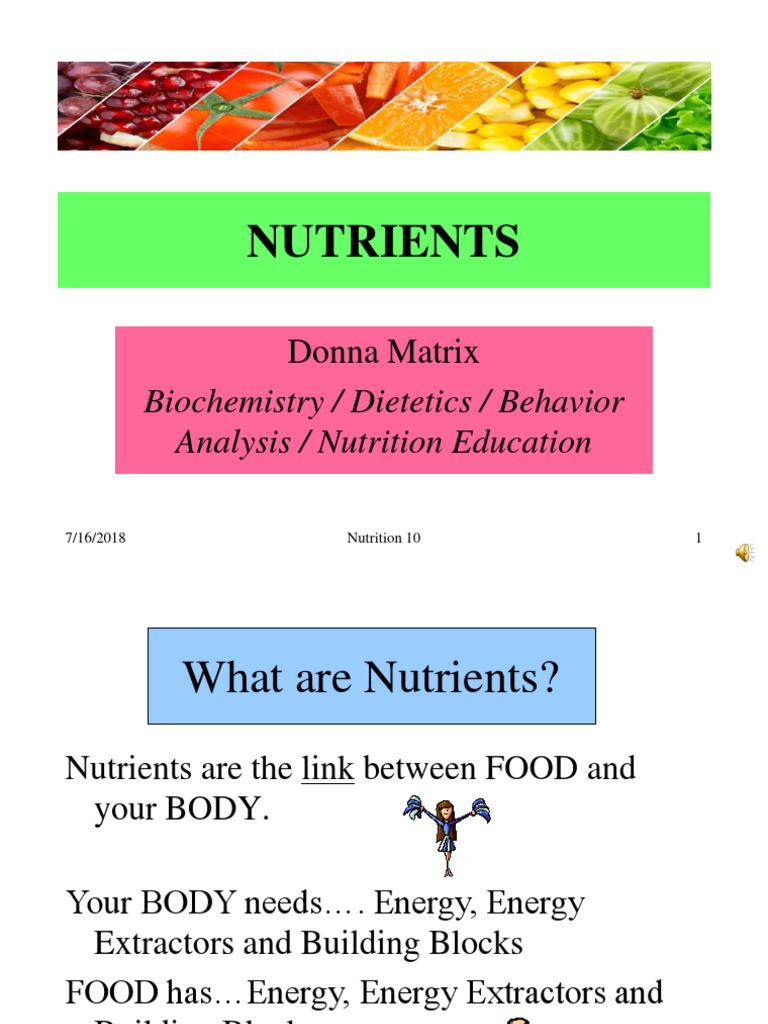 An Introduction to Nutrients: Understanding How Food Provides the ...