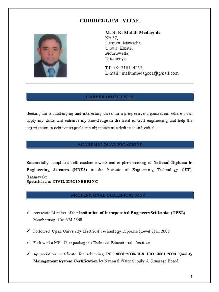 Mali CV | PDF | Professional Certification | Engineering