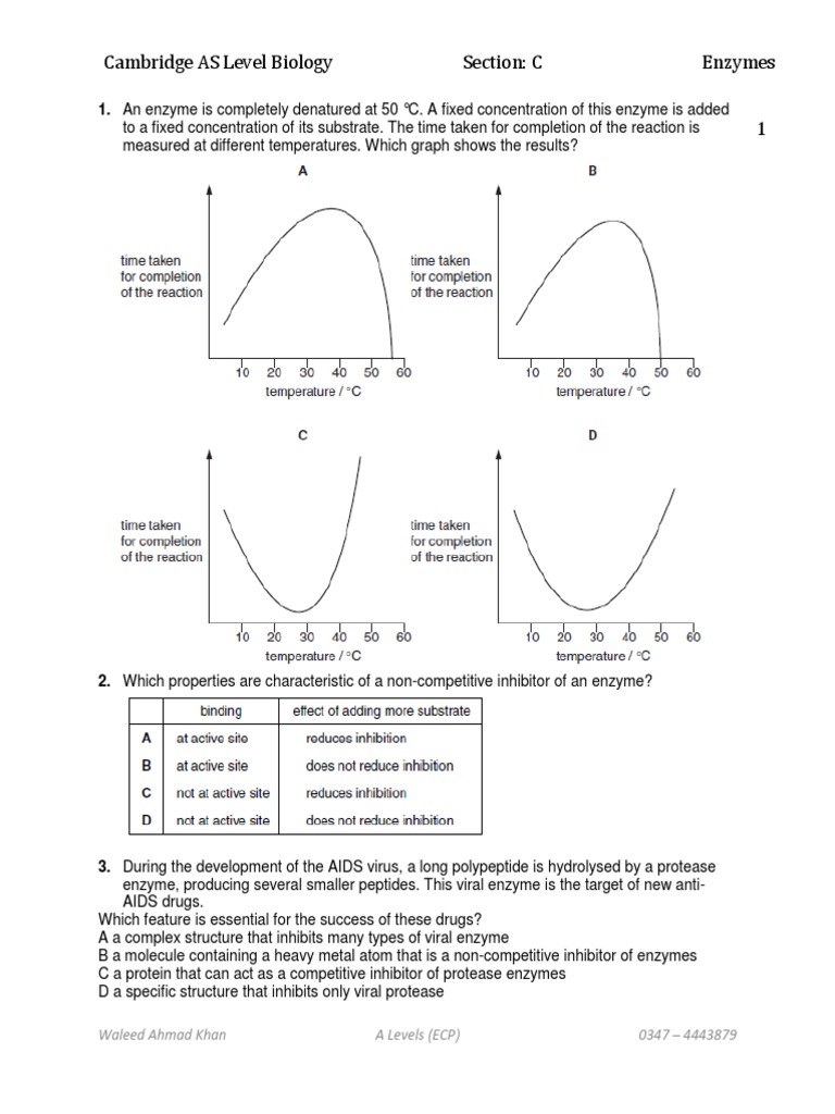 Cambridge AS Level Biology Enzymes Section C Initial Rate Graph | PDF ...