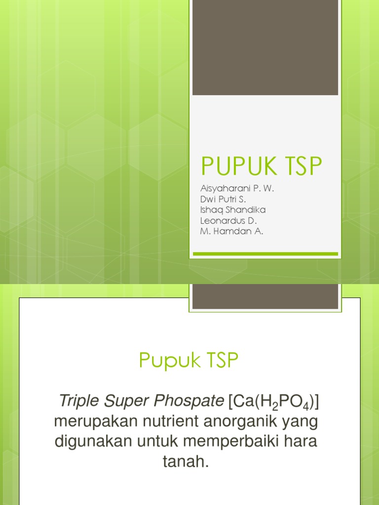 Pupuk TSP | PDF