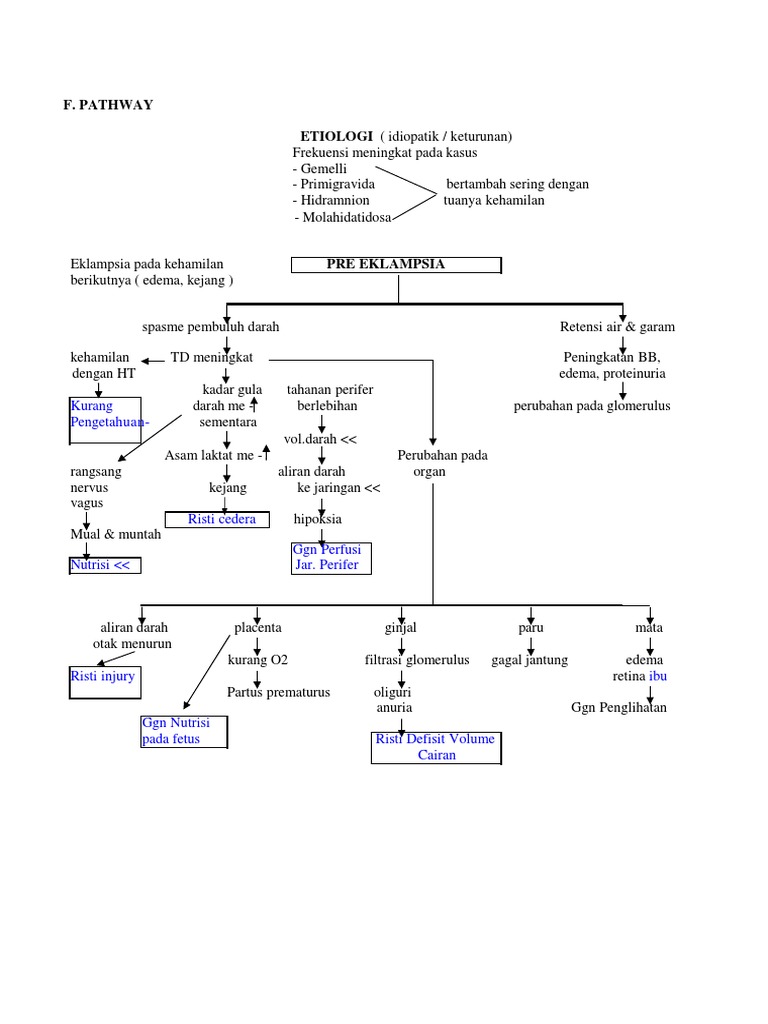 Preaklamsia Pathway | PDF