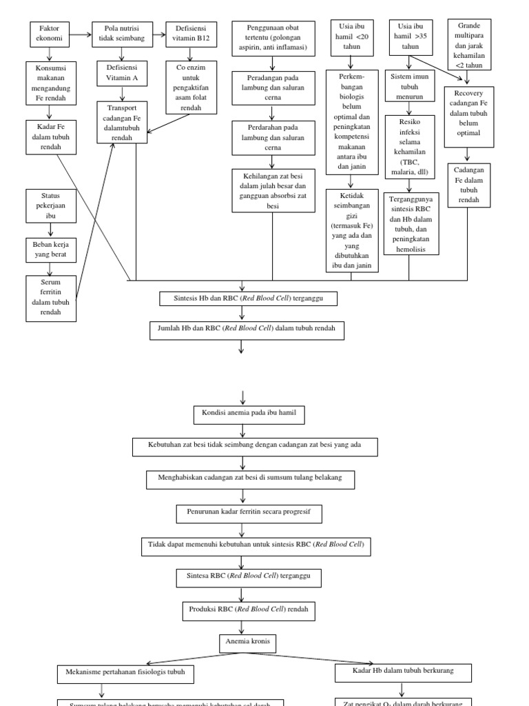 Pathway Anemia Pada Ibu Hamil | PDF
