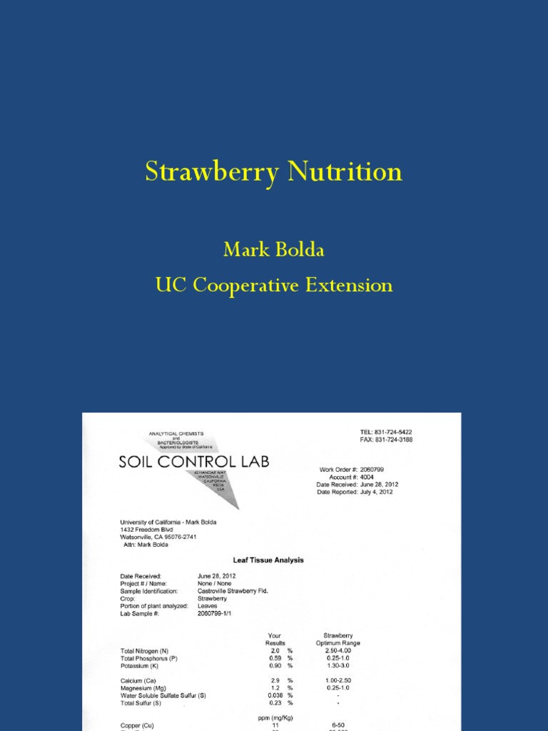 Strawberry Nutrition: Mark Bolda UC Cooperative Extension | PDF ...