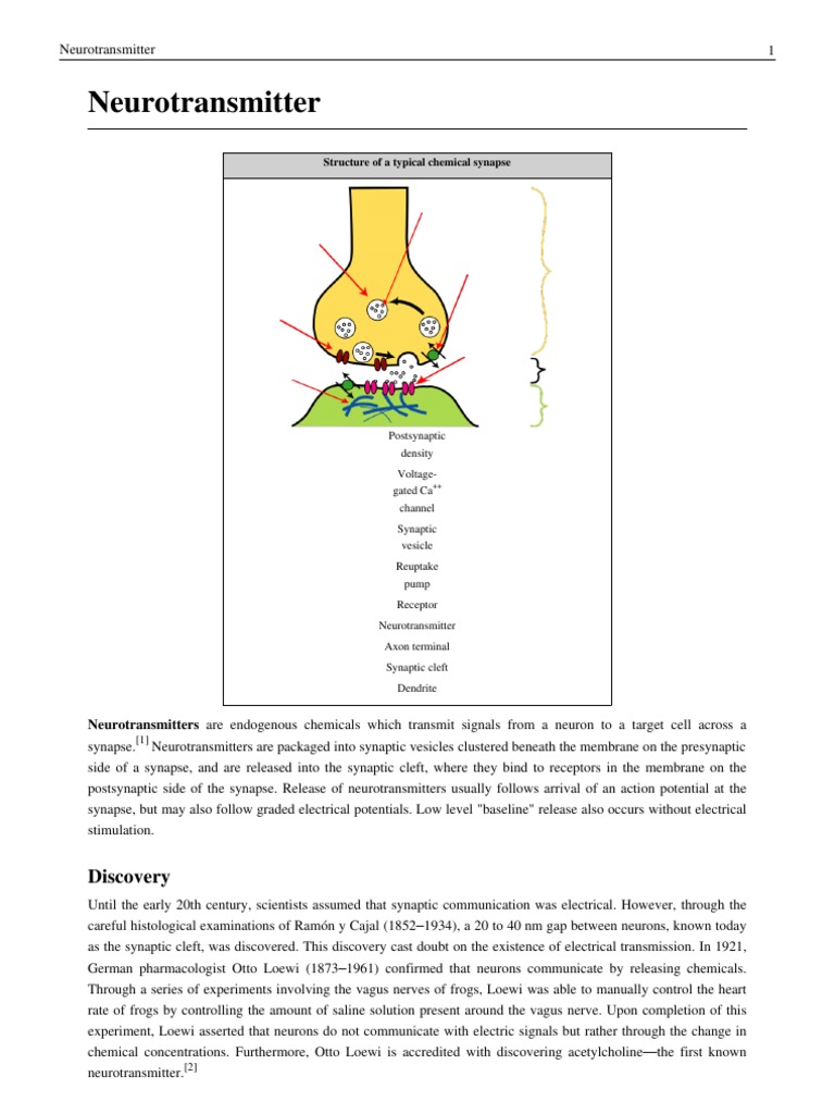 Neurotransmitters | PDF | Neurotransmitter | Chemical Synapse
