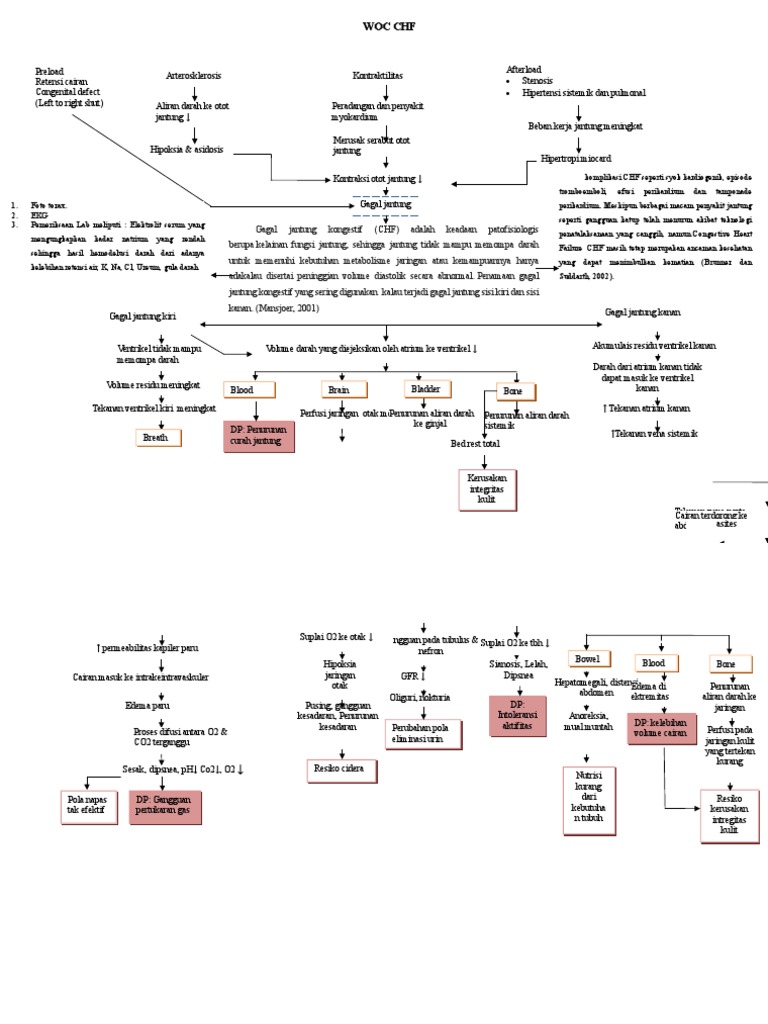 Woc CHF Baruuu | PDF