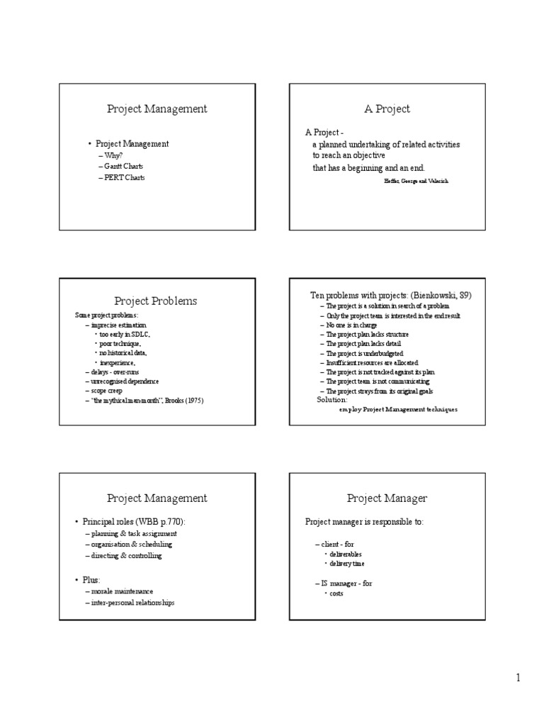 Project Management Overview | PDF | Project Management | Systems Theory
