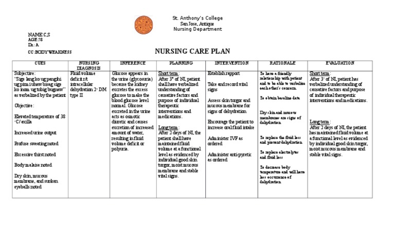 Nursing Care Plan: Cues Nursing Diagnosis Inference Planning ...