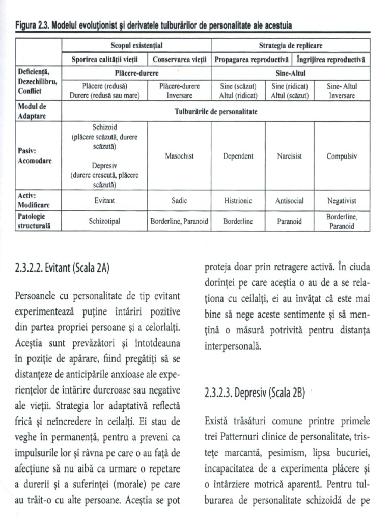 Millon MCMI Scale | PDF