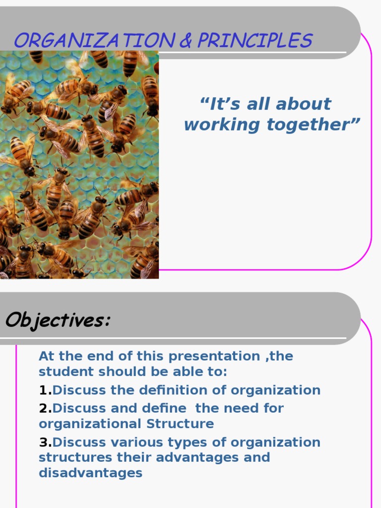 Organization & Principles: "It's All About | PDF | Organizational ...