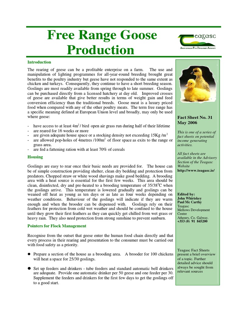 Goose Farming for Profit | PDF | Poultry | Poultry Farming