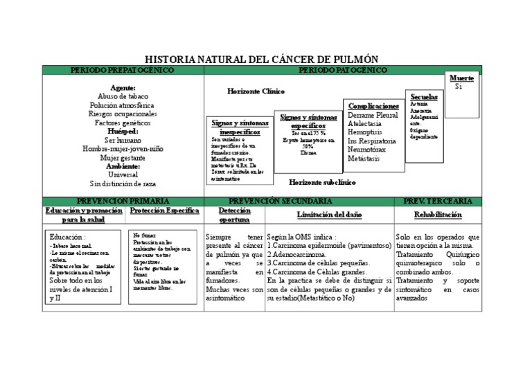 Historia Natural Del Cáncer De Pulmón Copia1 Cáncer De Pulmón Fumar