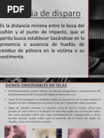 Signo de Puppe Werkgartner en balística | PDF | Libros para adolescentes