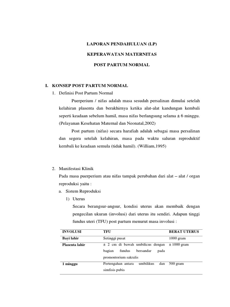 LP Post Partum Spontan | PDF