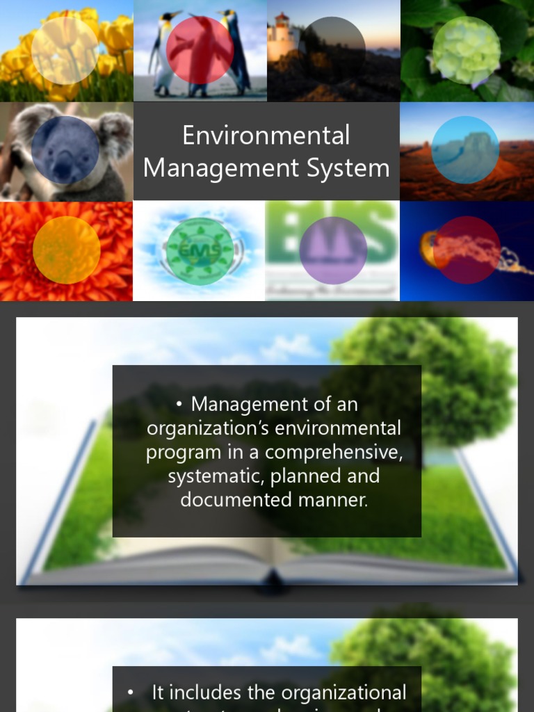 Environmental Management System | PDF