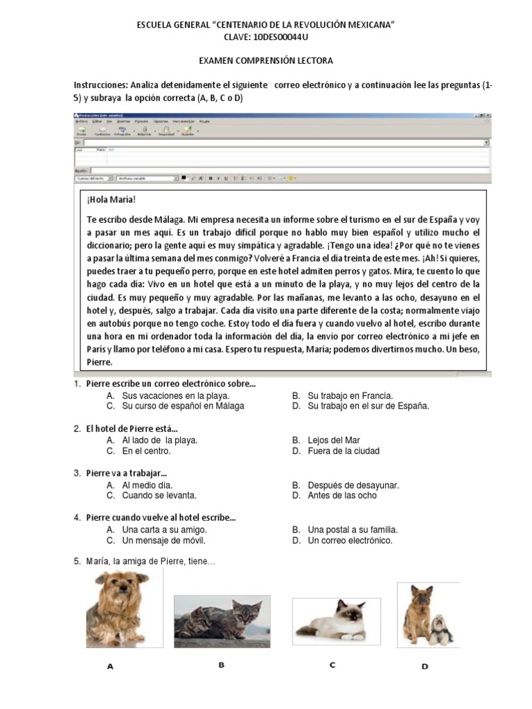 examen comprension lectora