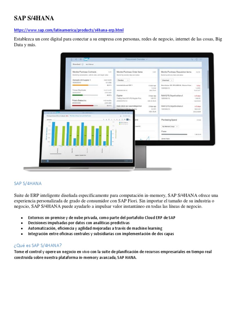 Presentación Sap Hana | PDF | Sap Se | Planificación de recursos empresariales