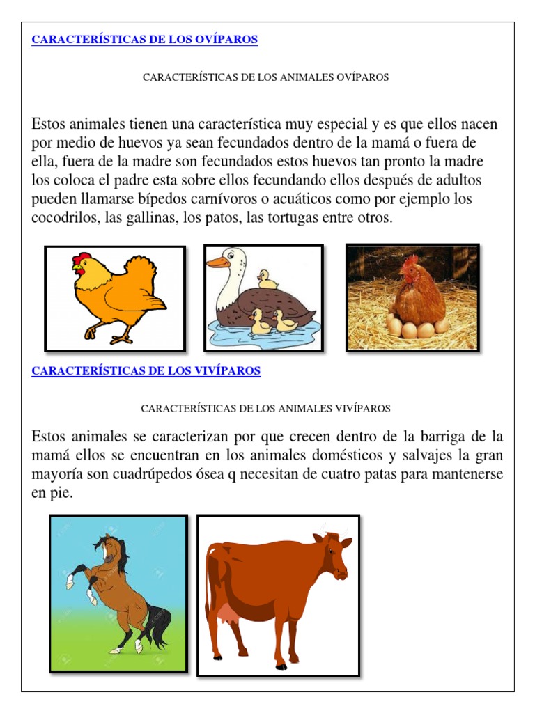 Caracteristica Del Desarollo de Los Animales | PDF | Salud y bienestar