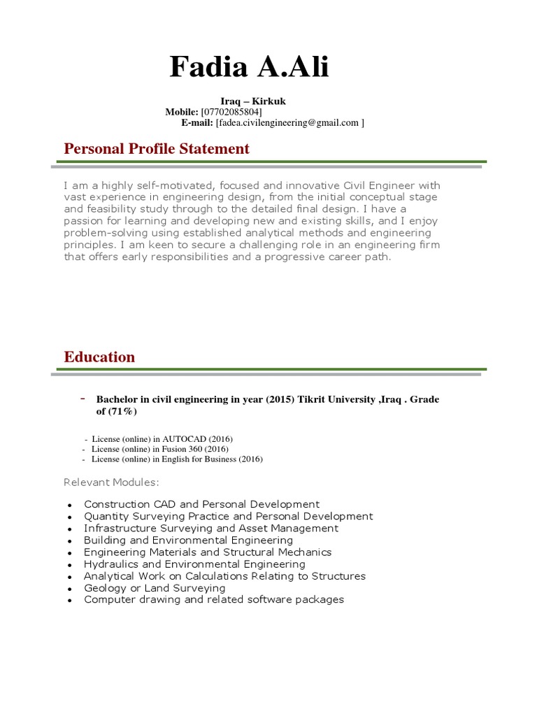 Civil Engineer Blank CV Download | PDF | Engineering | Auto Cad