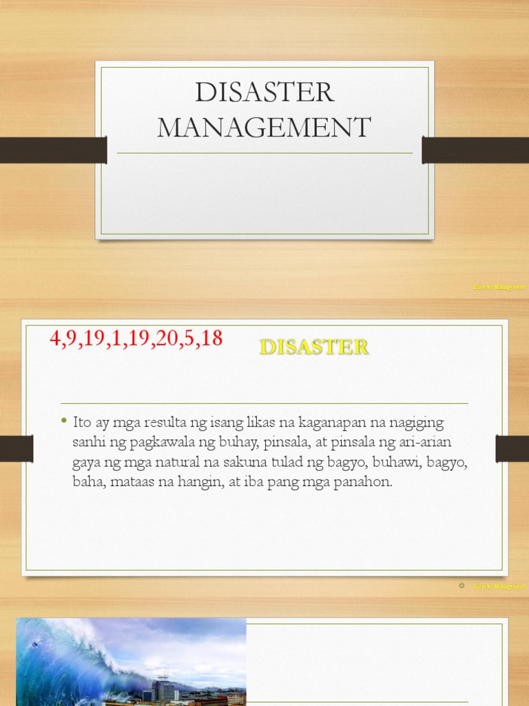Disaster Management | PDF