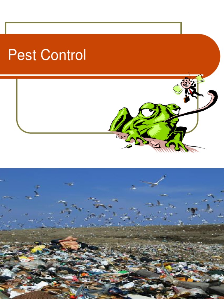 A Comprehensive Guide to Developing an Effective Pest Control Program ...
