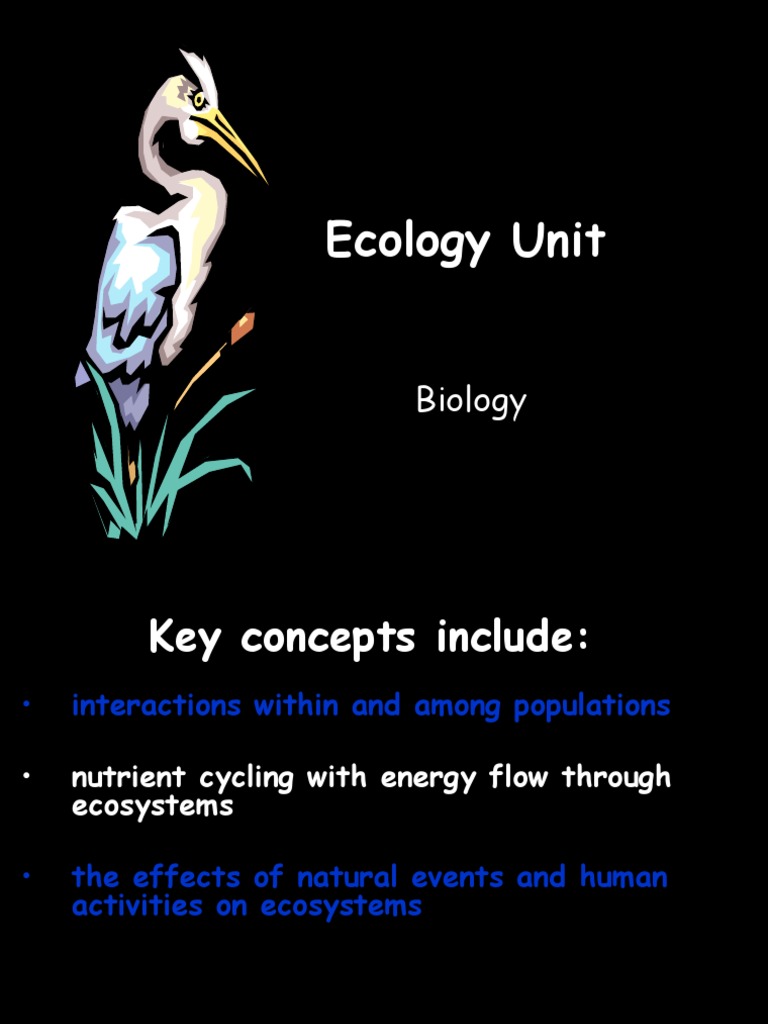 Ecology Notes | PDF | Food Web | Symbiosis