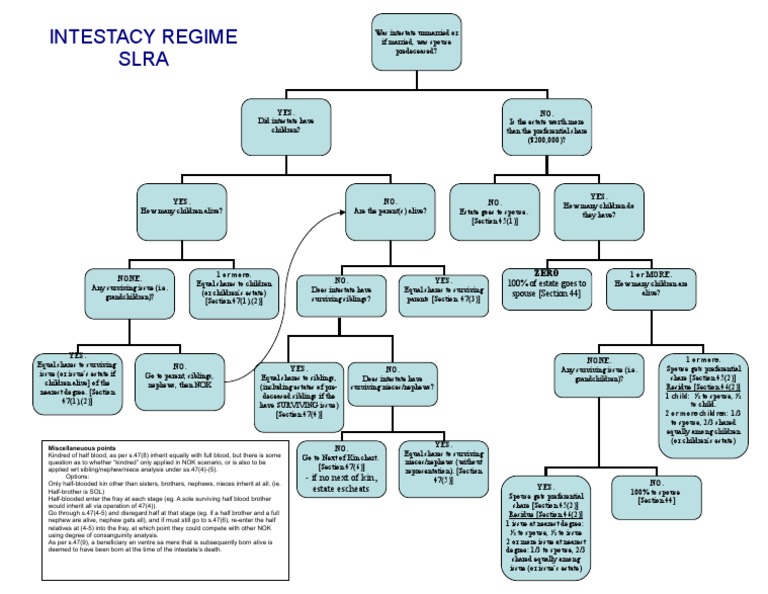 Intestacy SLRA Chart-1 | PDF | Intestacy | Virtue