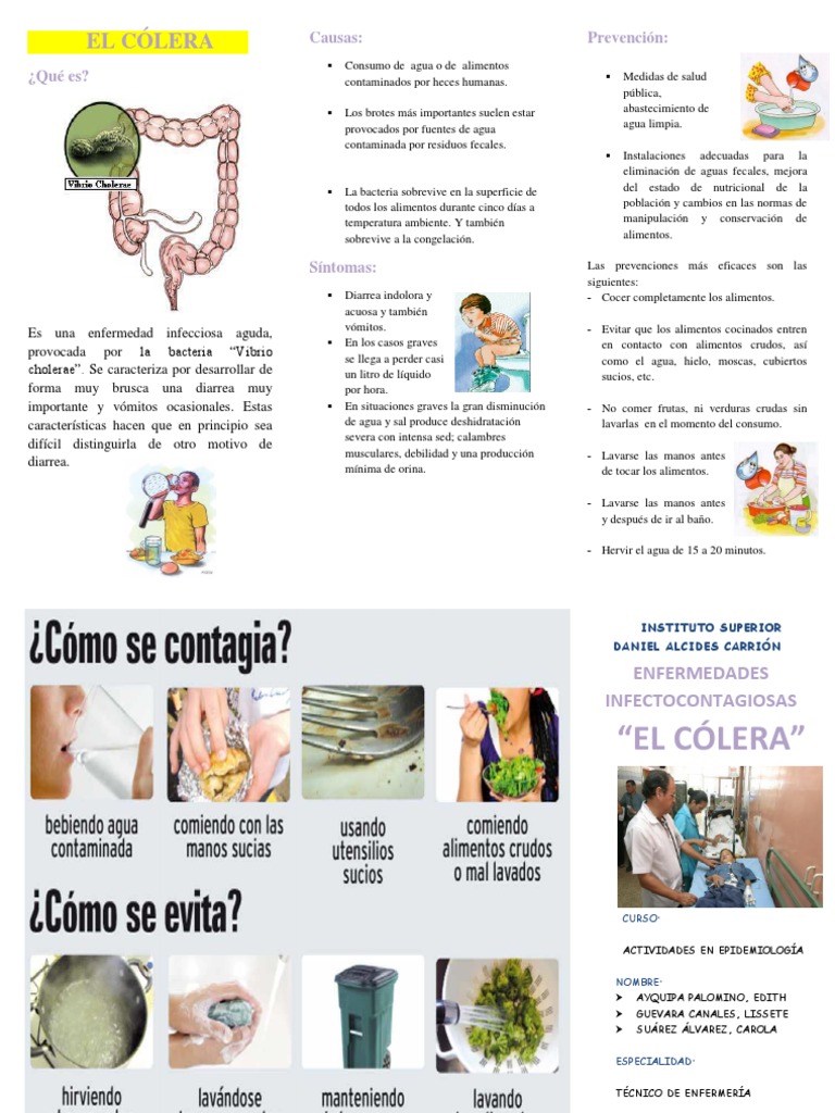 Triptico El Colera | PDF | Cólera | Diarrea