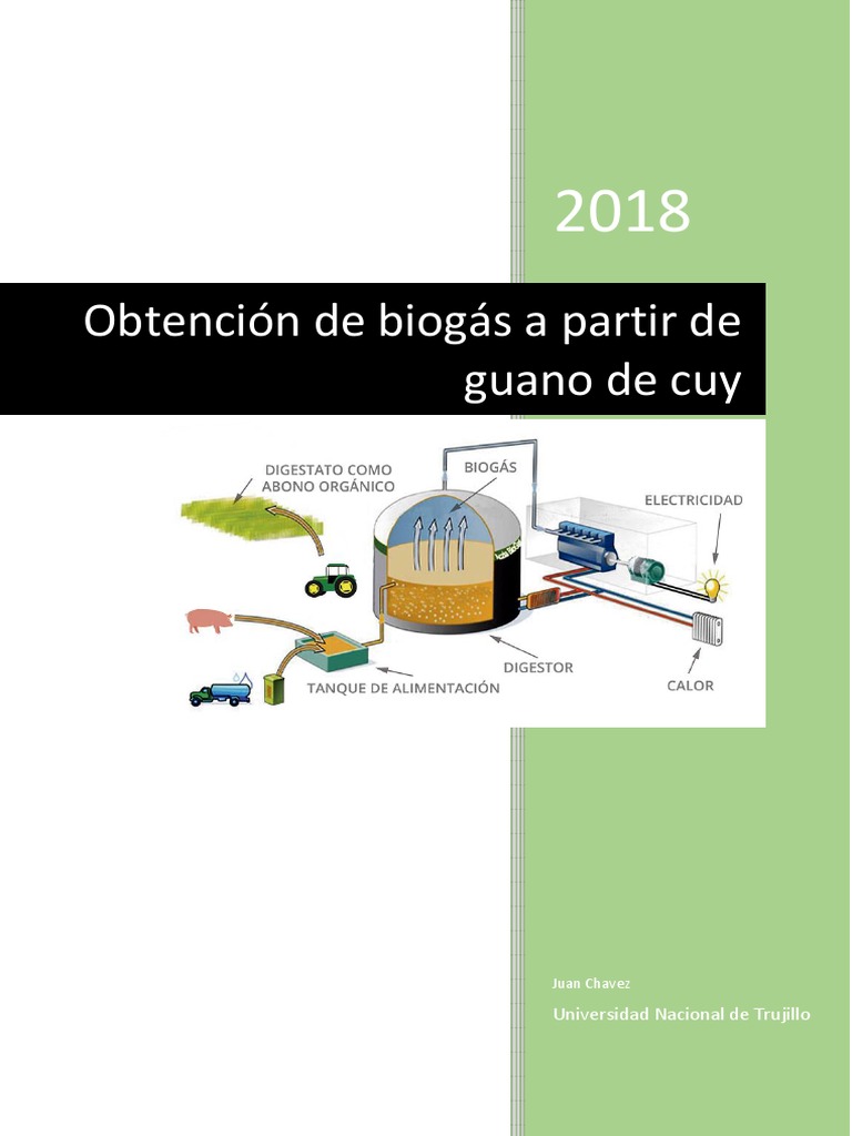 Obtención De Biogás De Guano De Cuy Pdf Biogás Digestión Anaeróbica