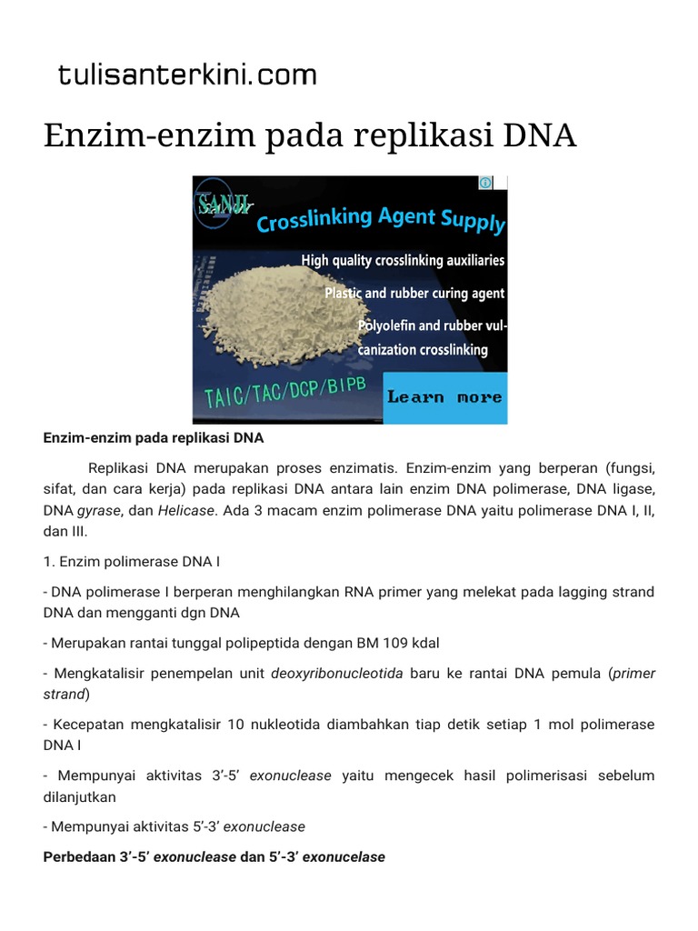Enzim dalam Proses Replikasi DNA | PDF | Sains & Matematika | Kesehatan ...