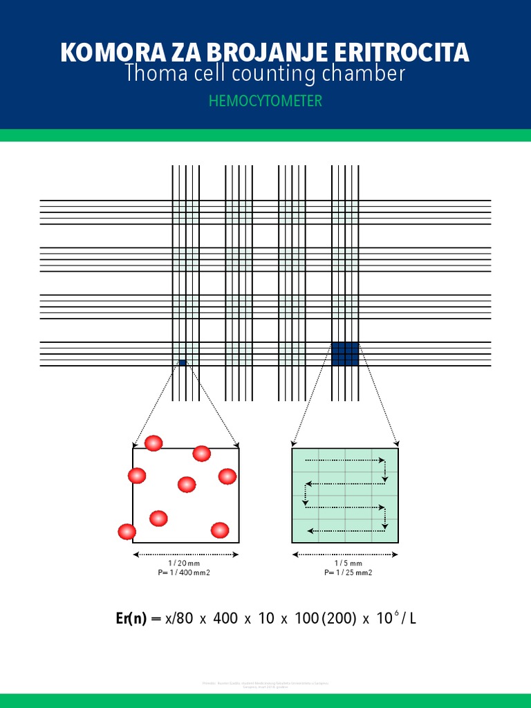 Thoma Cell Counting Chamber Guide | PDF | Science & Mathematics