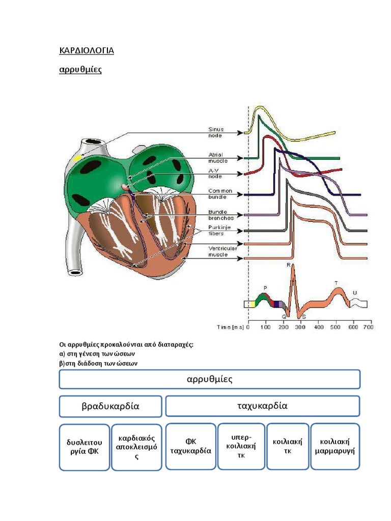 ΚΑΡΔΙΟΛΟΓΙΑ | PDF