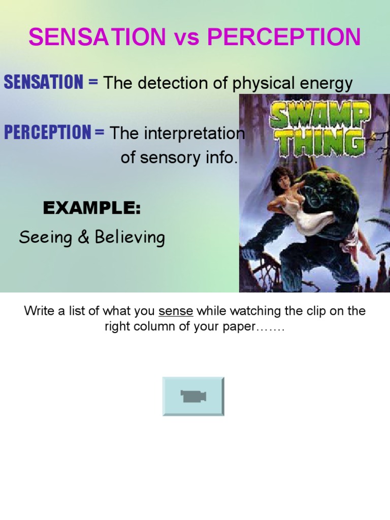 Basic Principles of Sensation | PDF | Senses | Perception
