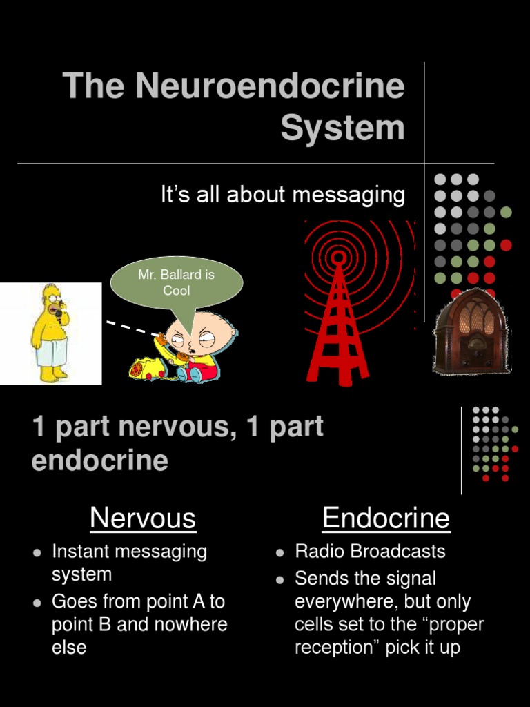 Overview of the Neuroendocrine System | PDF | Hormone | Endocrine System