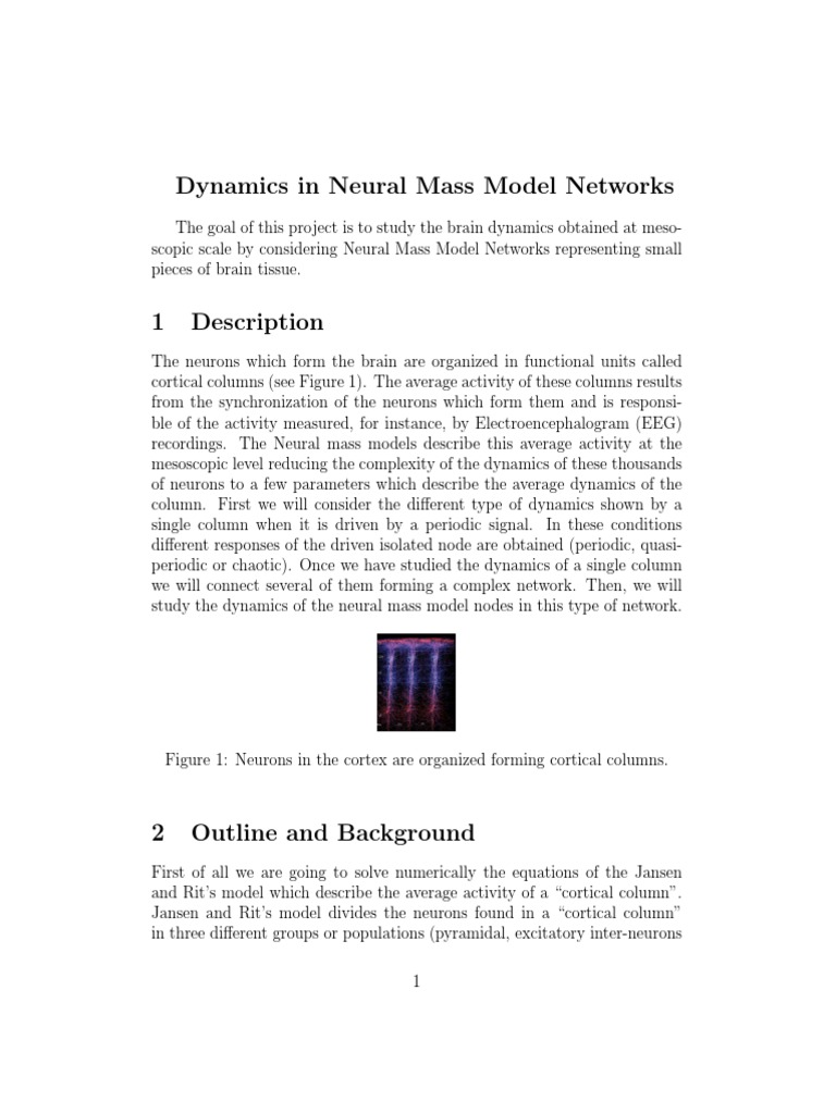 Dynamics in Neural Mass Model Networks | PDF | Brain | Excitatory Postsynaptic Potential