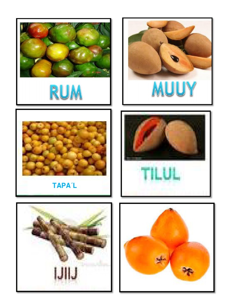Frutas en Poqoman | PDF