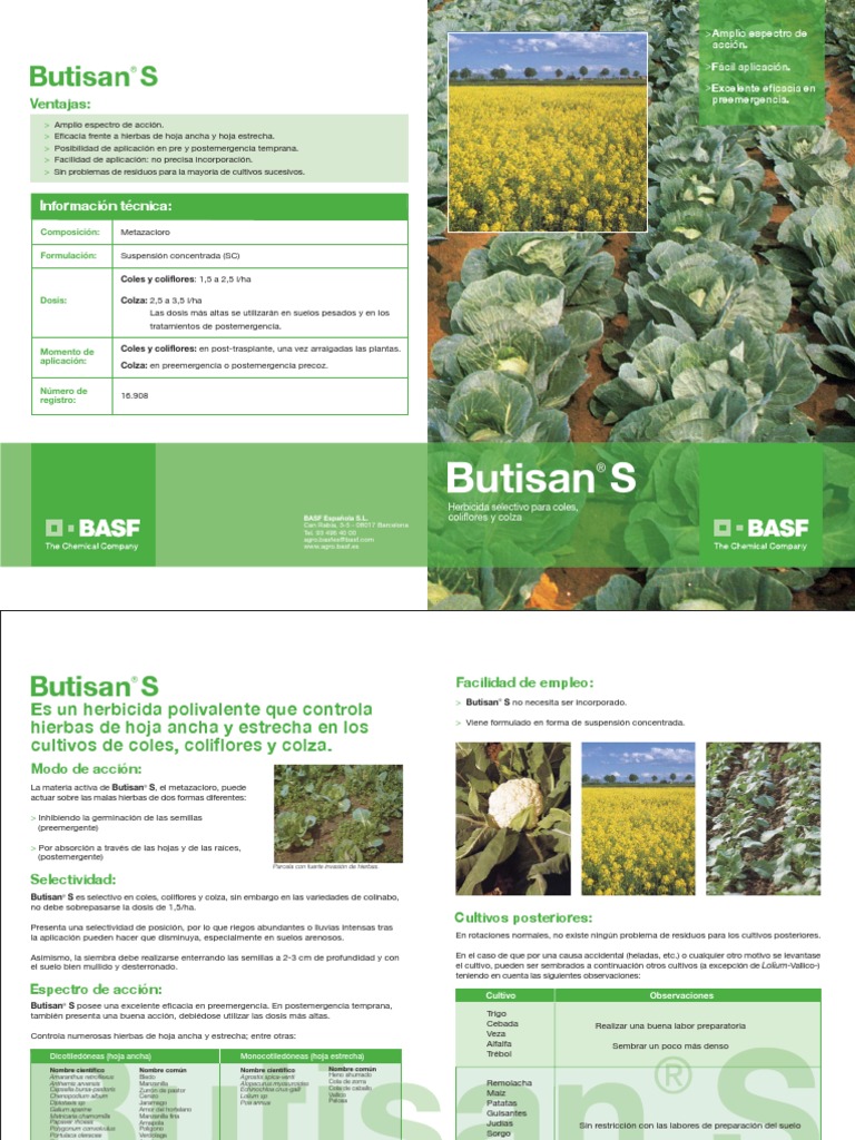 Butisan S: Herbicida Selectivo para Coles | PDF | Plantas ...