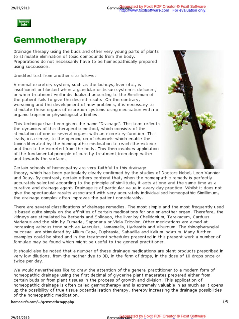 Gemmotherapy | Homeopathy | Allergy