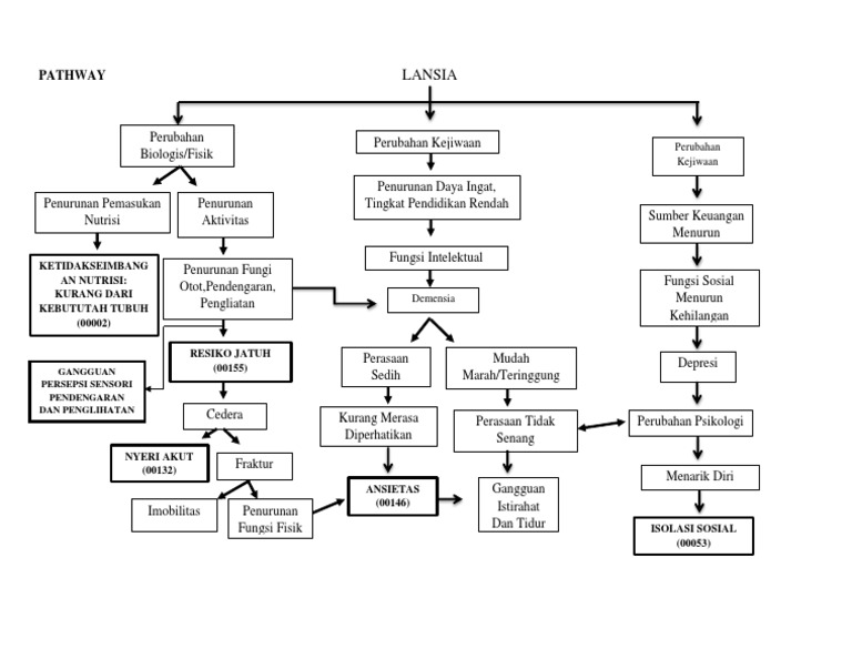 Pathway Lansia | PDF