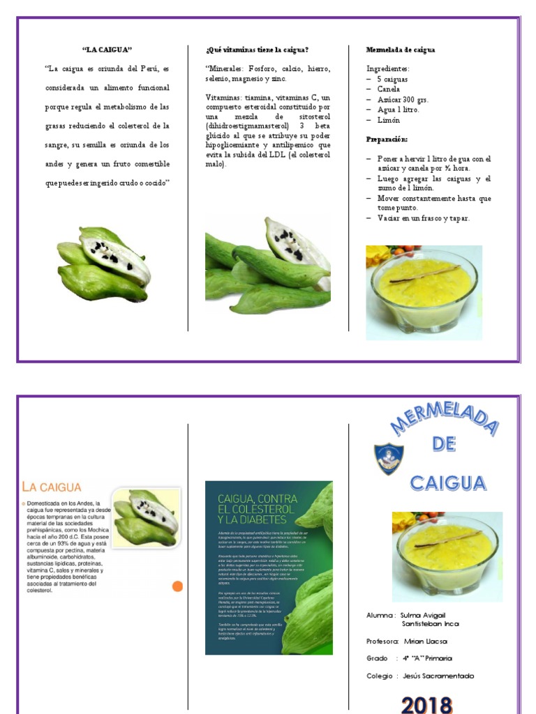 Triptico Mermelada de CAIGUA | PDF | Comida y bebida | Alimentos
